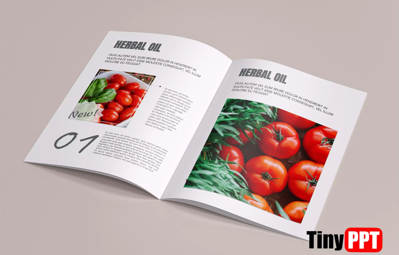 Google Slides Pamphlet Template