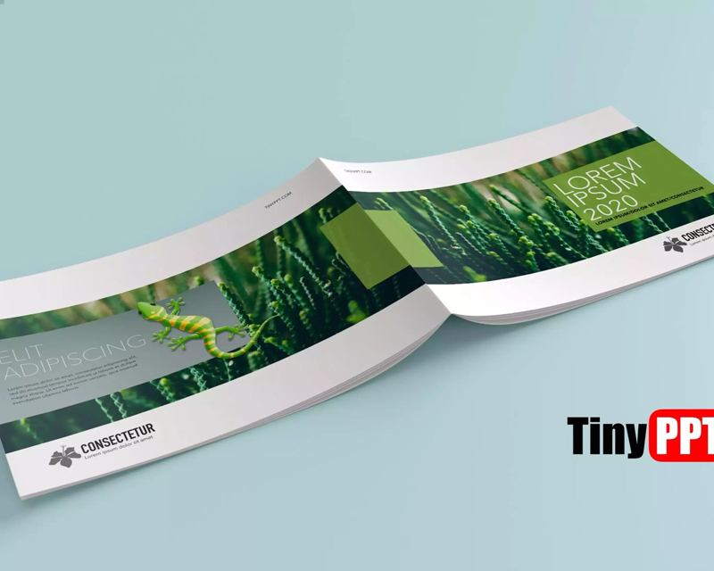 Pamphlet Template Google Docs